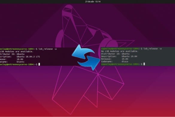 Efecto matrix, crea el tuyo utilizando HTML, CSS y JavaScript